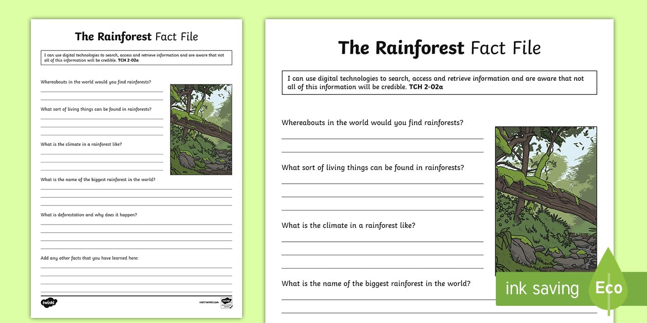 The Rainforest Fact File - CfE Learning Materials - Twinkl