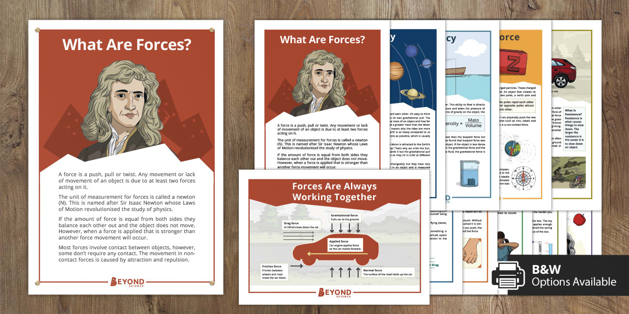 Types of Forces Display Posters