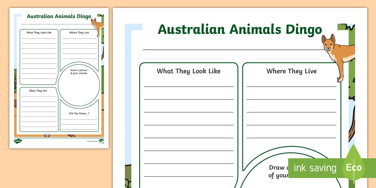 Australian Animals Dingo Information Report Writing Template