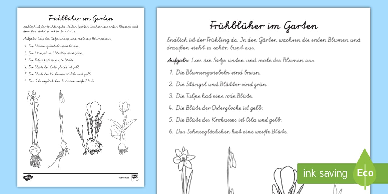 Frühblüher: Lese- und Ausmalblatt I Frühblüher ausmalen