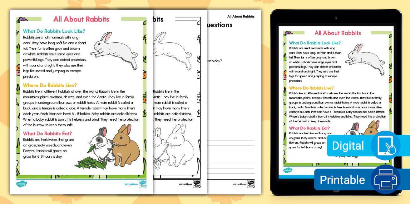 2nd Grade All About Rabbits Reading Comprehension Worksheet