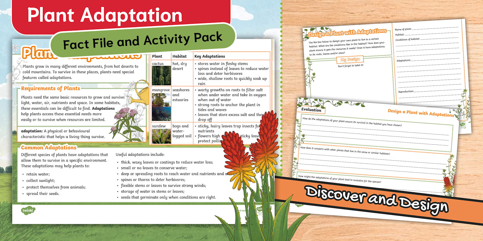 KS2 Plant Adaptation Fact File and Activity Pack