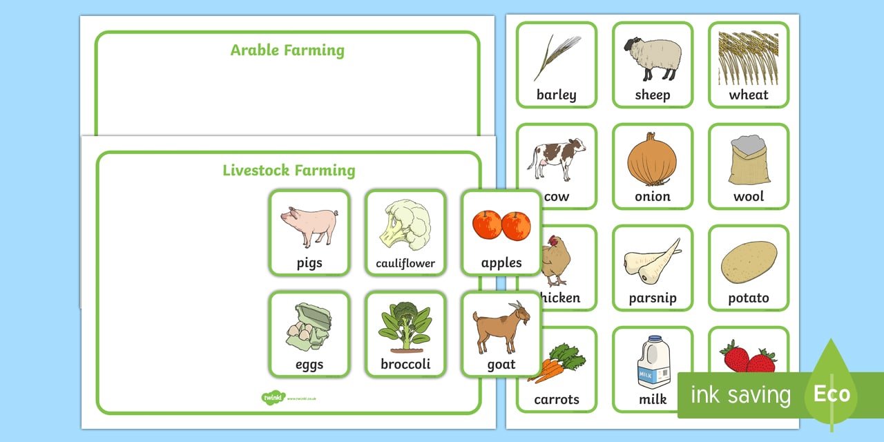 Arable and Livestock Farming Sorting Cards