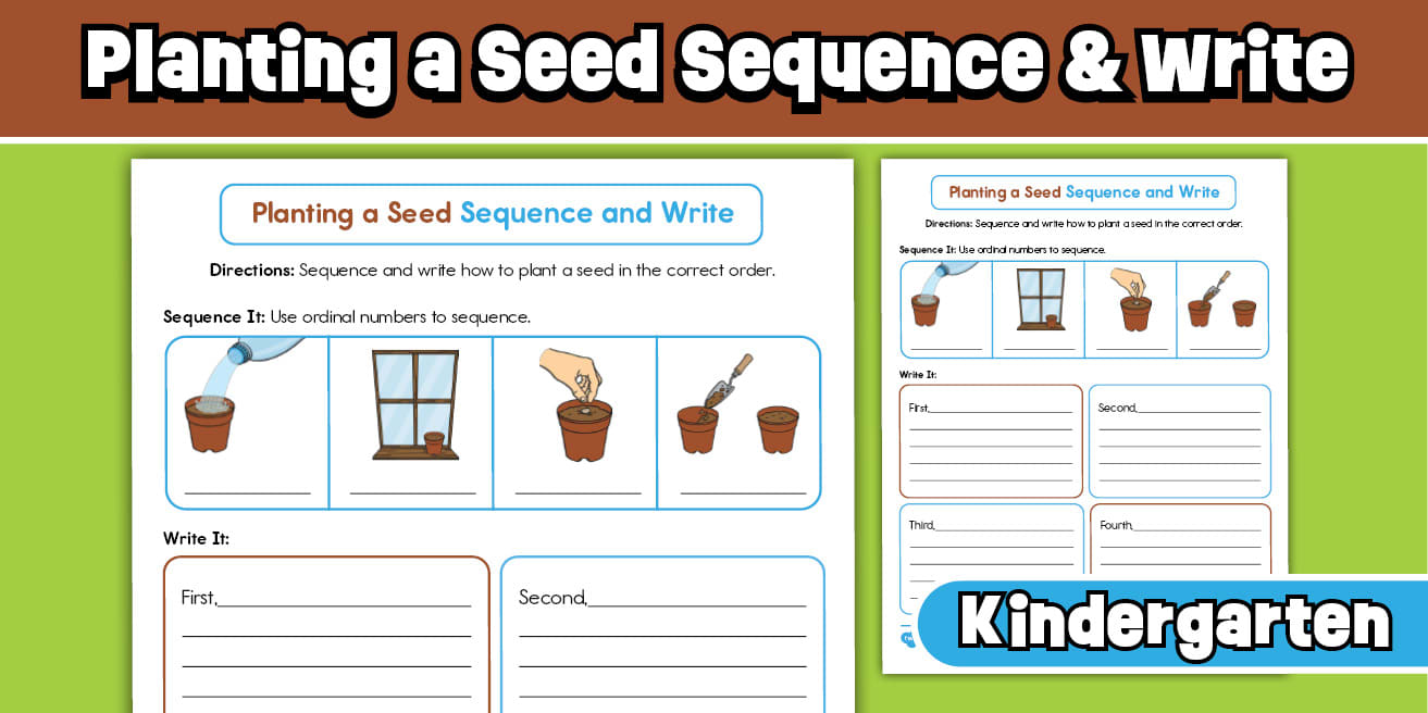 Kindergarten Planting a Seed Sequence and Write Worksheet
