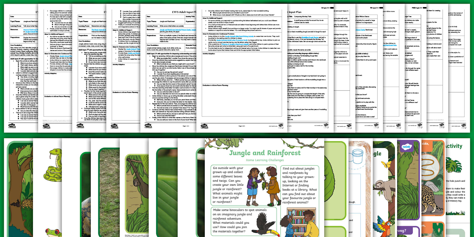 EYFS Jungle and Rainforest Planning and Pack (Ages 3-4)