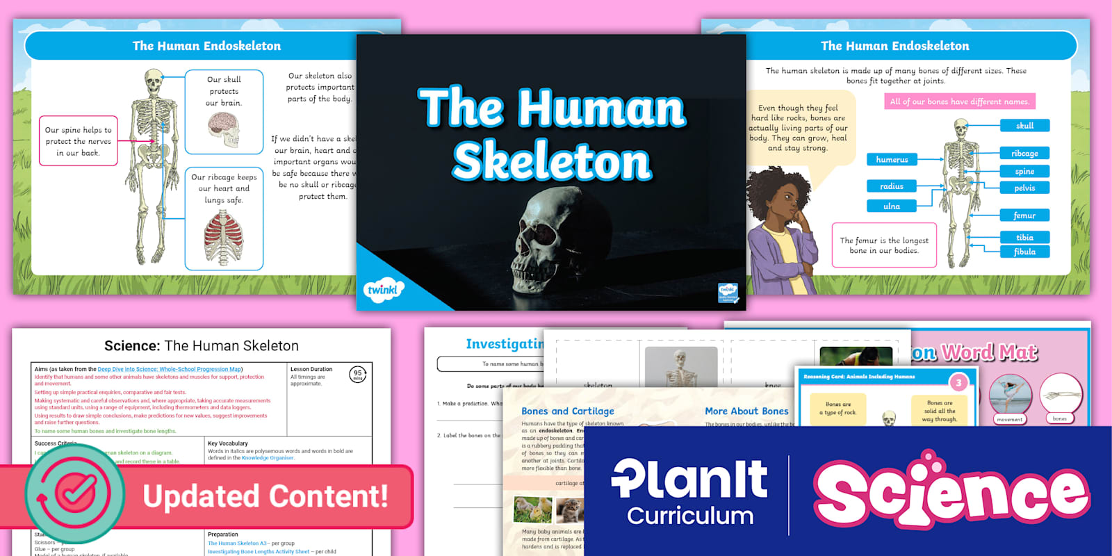 Science: Animals Including Humans: The Human Skeleton Year 3 Lesson 3