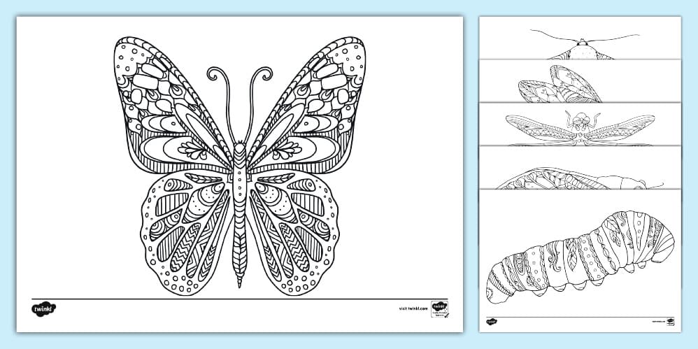 Bugs and Insects Mindfulness Colouring Pages