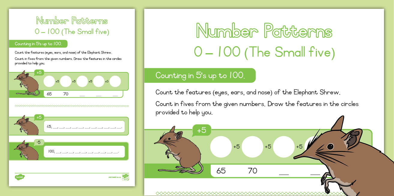 Grade 1 Maths: Number Patterns: 5's to 100