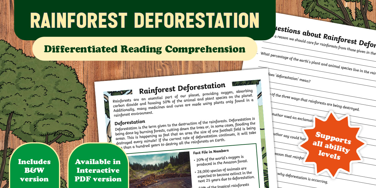 Rainforest Deforestation Differentiated Reading Comprehension Activity