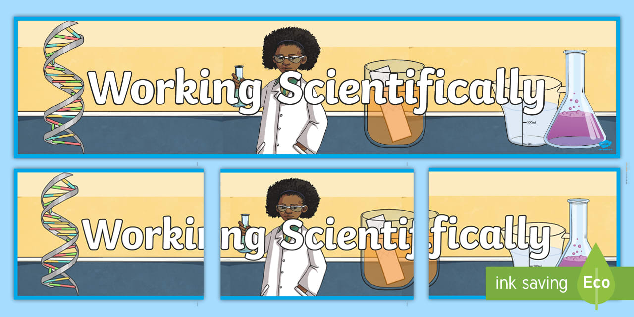 Working Scientifically Display Banner - science displays, investigation ...