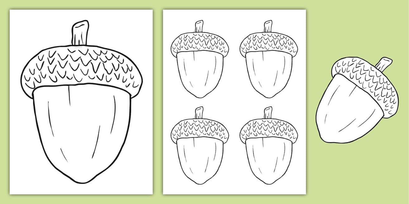 acorn coloring picture