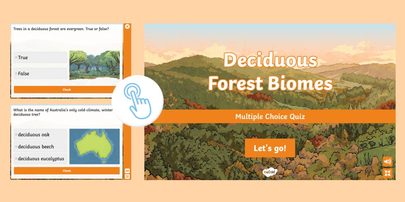 Deciduous Forest Biomes Multiple Choice Quiz