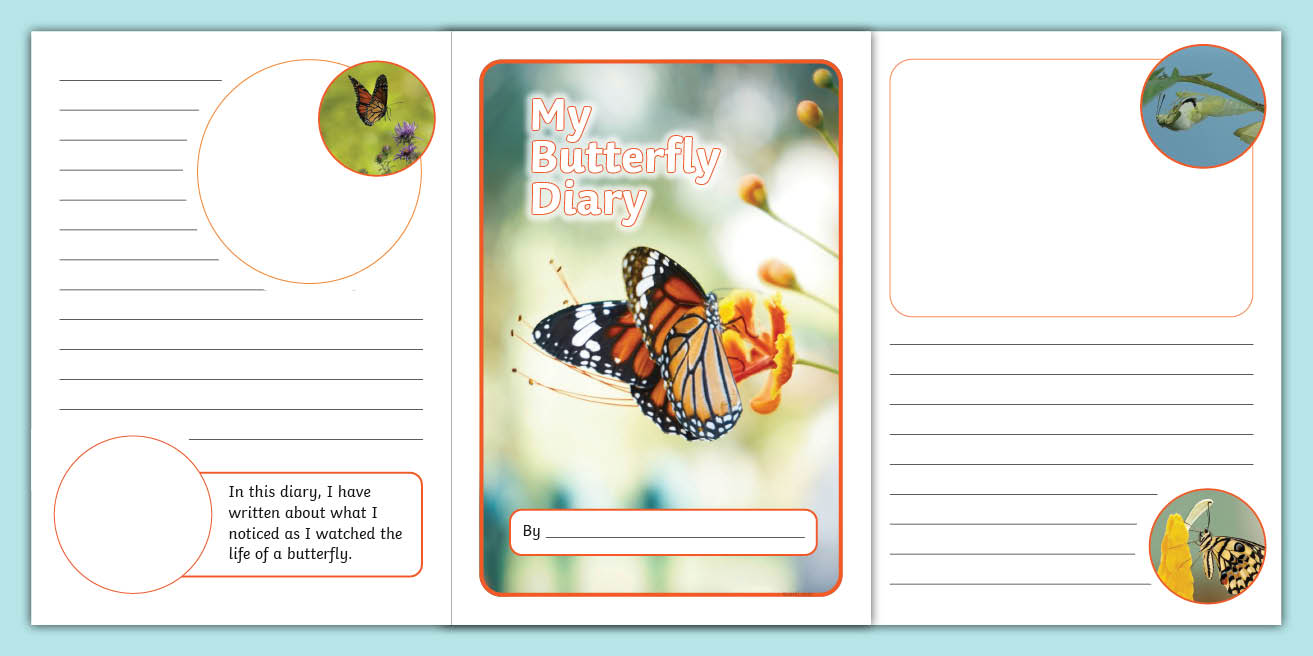 Butterfly Diary Writing Frame