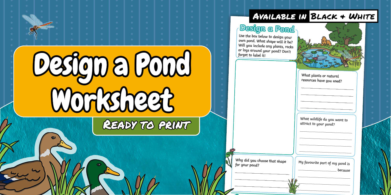Design a Pond Worksheet