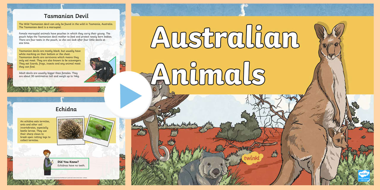 Australian Animals PowerPoint