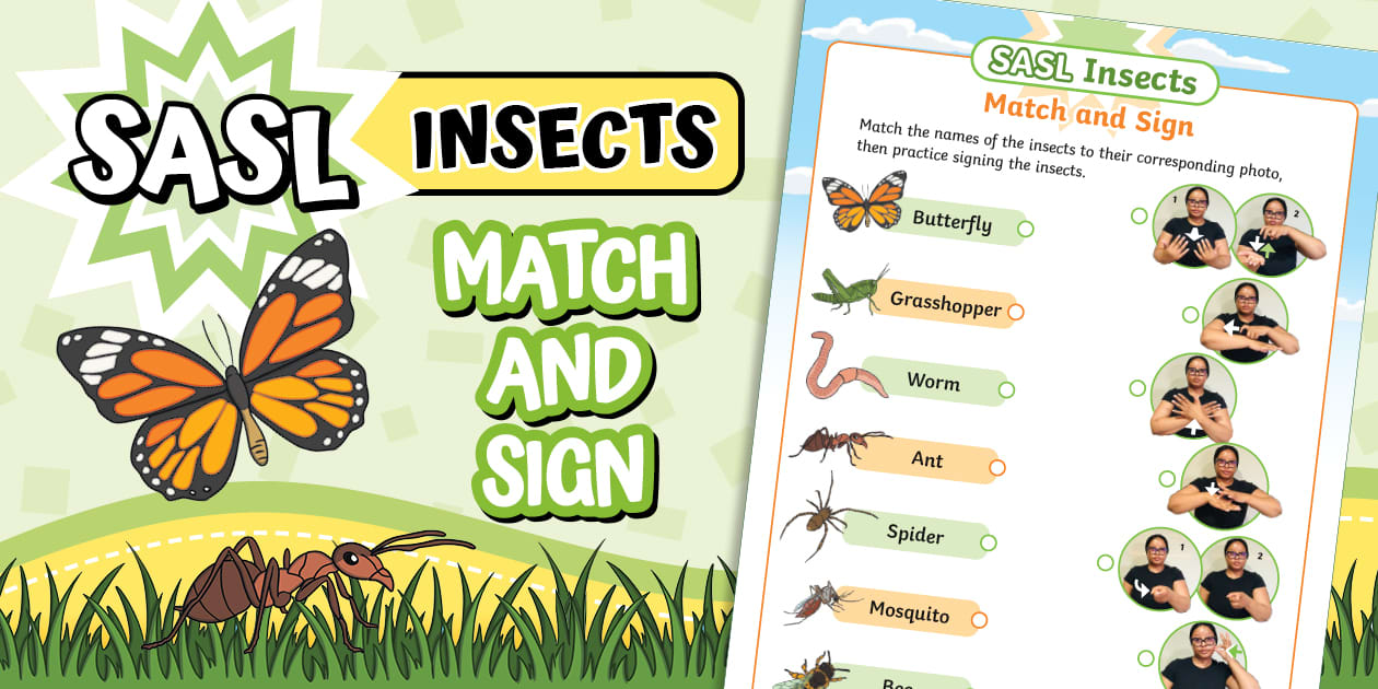 Foundation Phase - SASL - Insects - Match and Sign - Activity Sheet ...