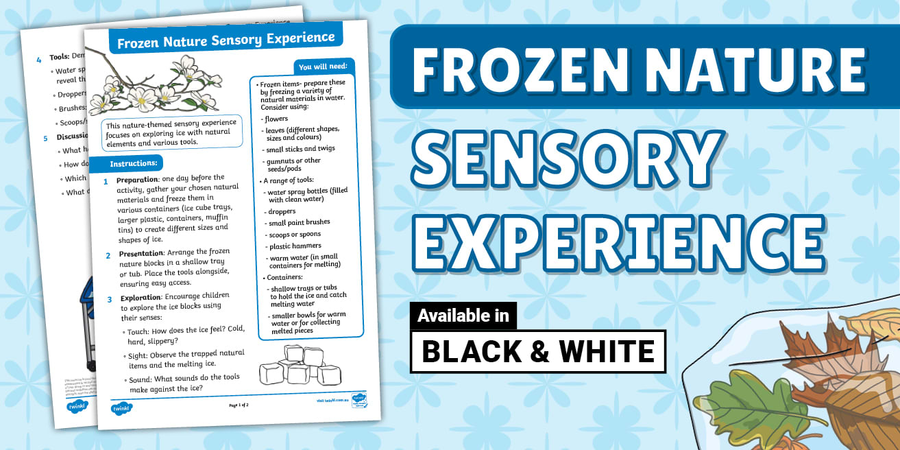 Frozen Nature Sensory Experience