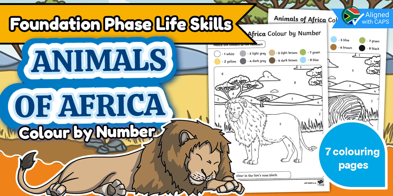 Foundation Phase Life Skills - African Animals - Colour by Number ...