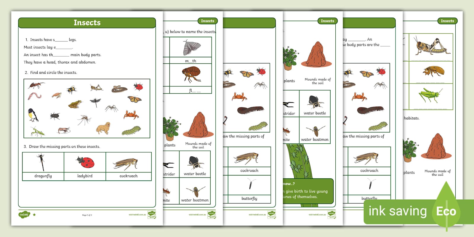 Insects Differentiated Worksheets