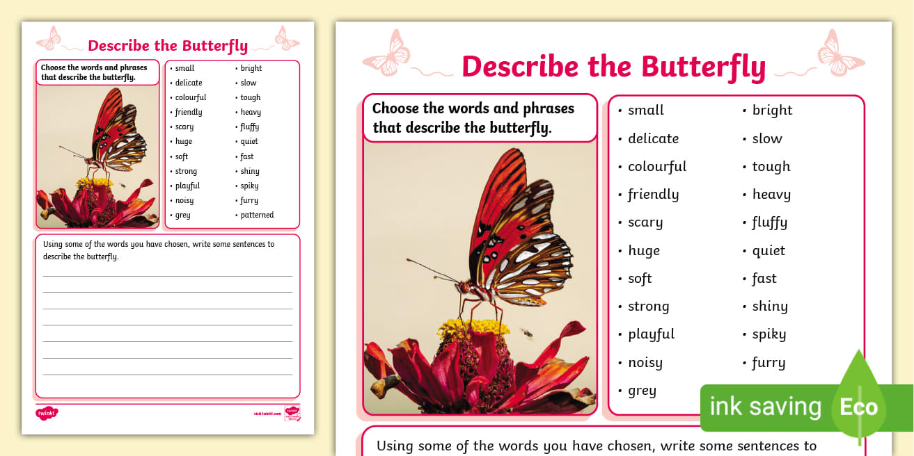 Describe the Butterfly Writing Activity Sheet