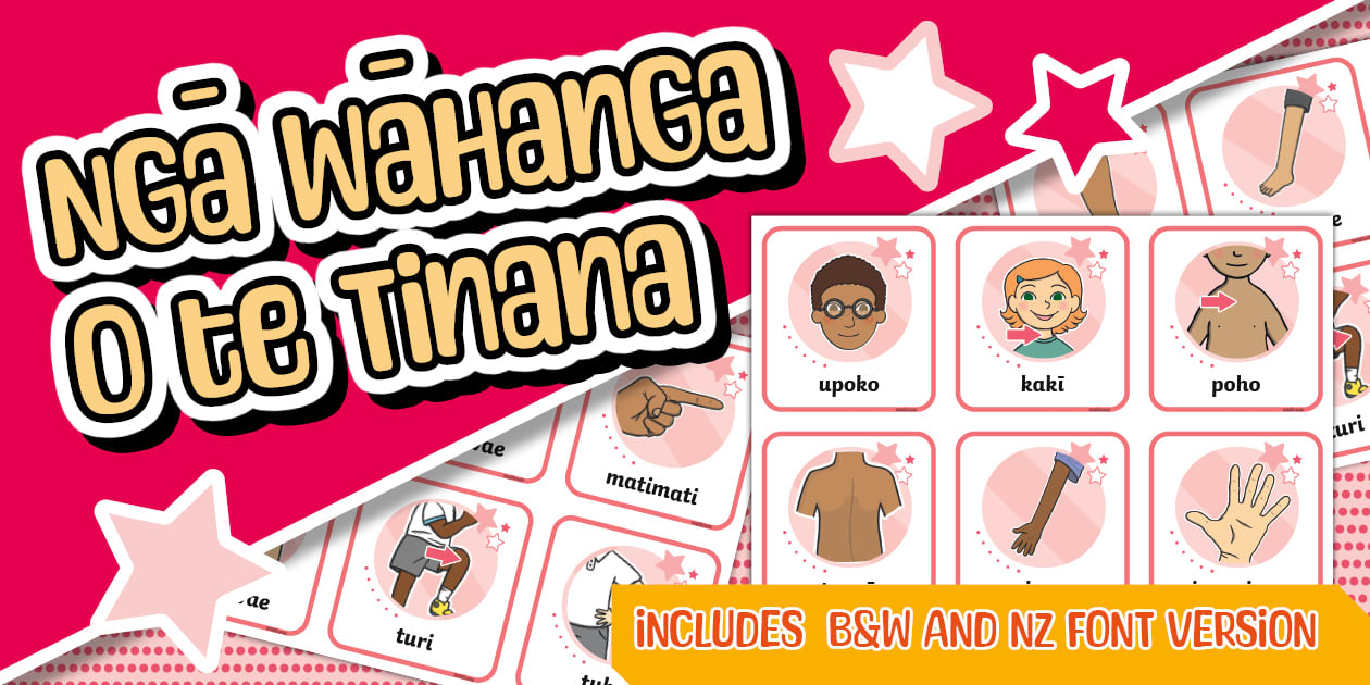 Ngā Wāhanga o te Tinana