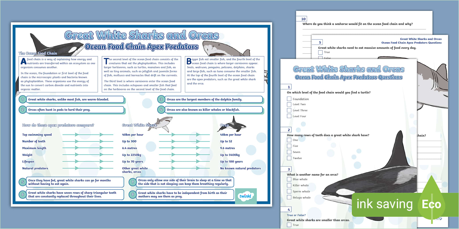 Ocean Food Chain Apex Predators Display Poster and Comprehension Activity