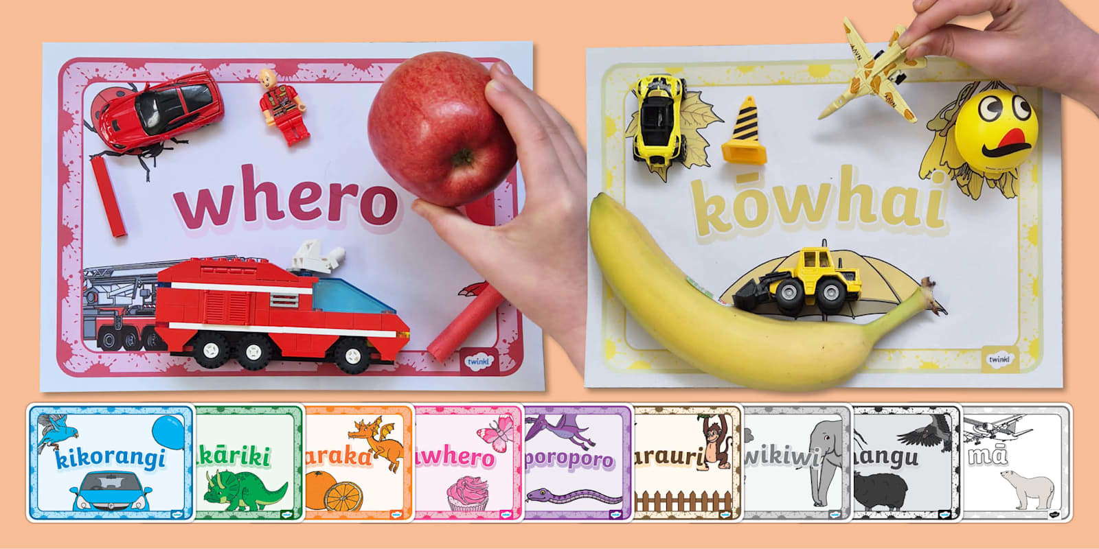 Māori Language Week Colour Sorting Activity