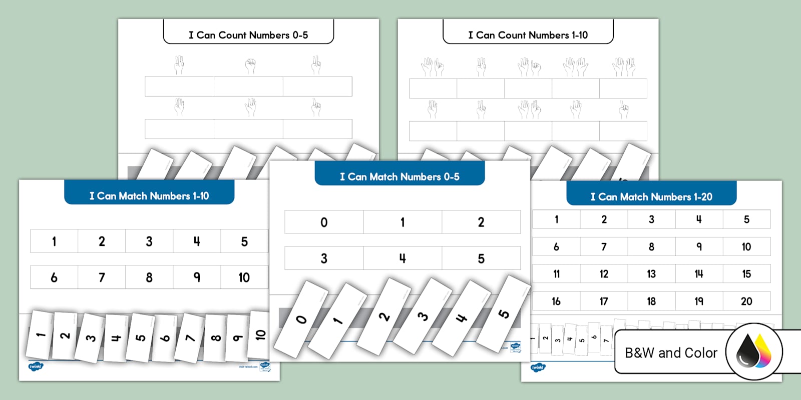 Number Skills Adapted Work Worksheets for Special Education