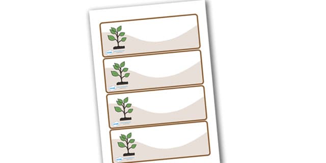 Editable Drawer - Peg - Name Labels (Saplings) - Saplings Label ...