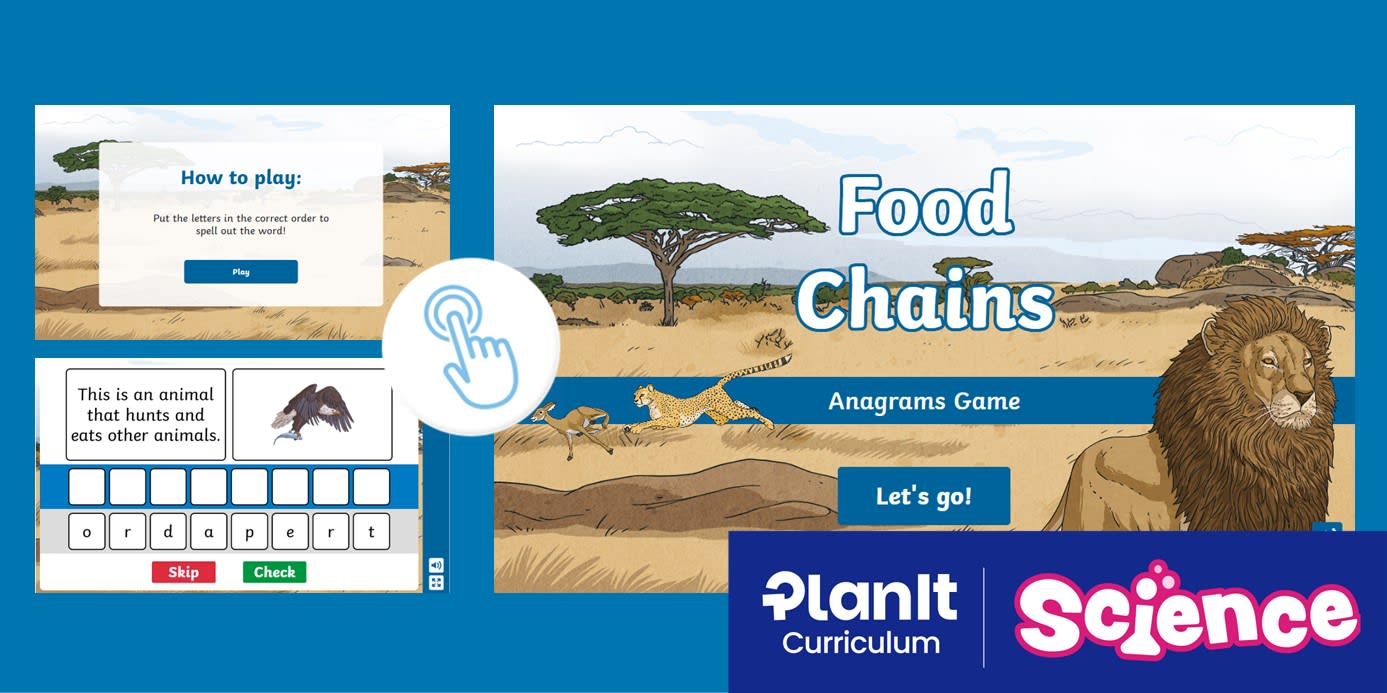 Animals Including Humans Anagram Game