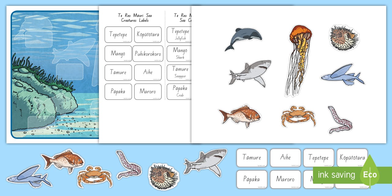 Rocky Shore Worksheet Te Reo Maori - Rocky Shore, Sea Creatures, Moana ...