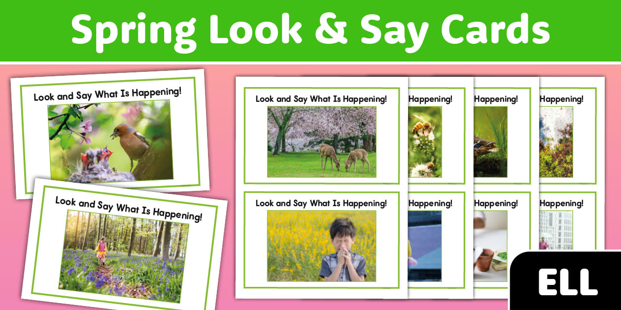 What Are They Doing? Spring Look and Say What Is Happening Cards for ELL