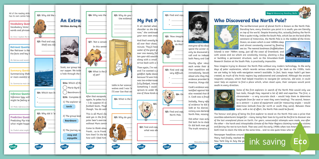 Polar Regions Focused Reading Skills Comprehension Pack