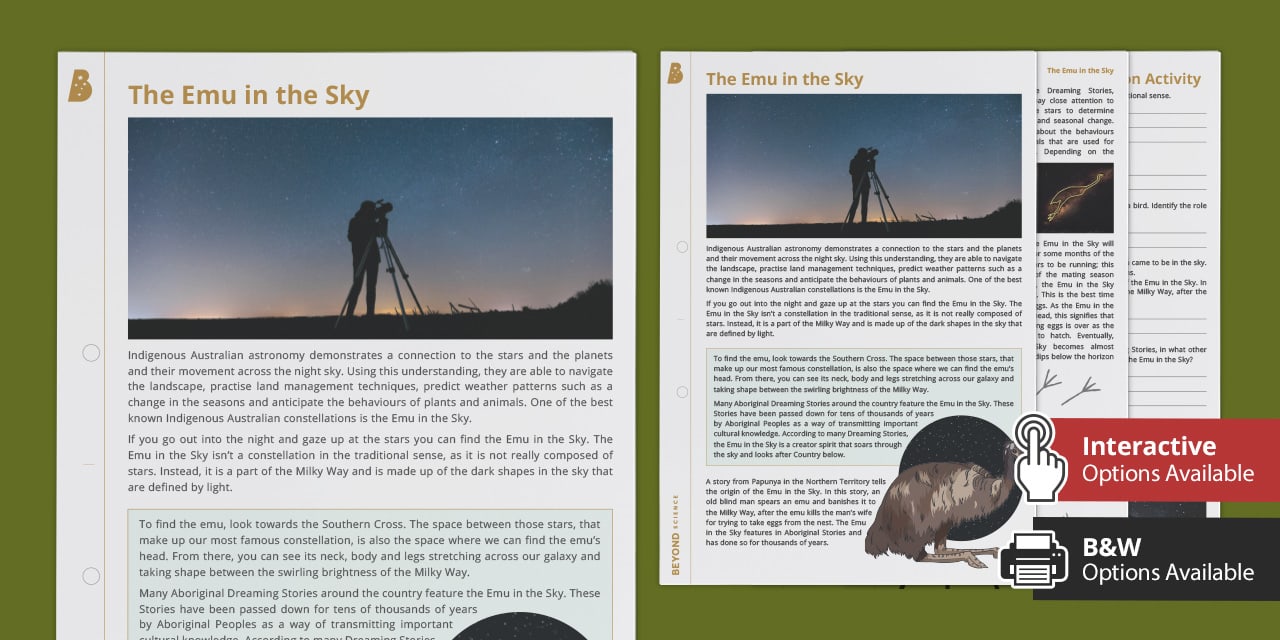 The Emu in the Sky Reading Comprehension