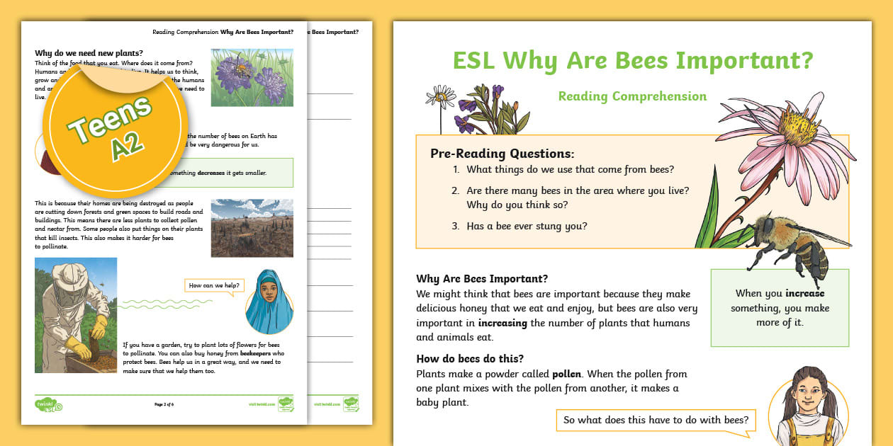 ESL Why Are Bees Important? Reading Comprehension [Teens, A2]