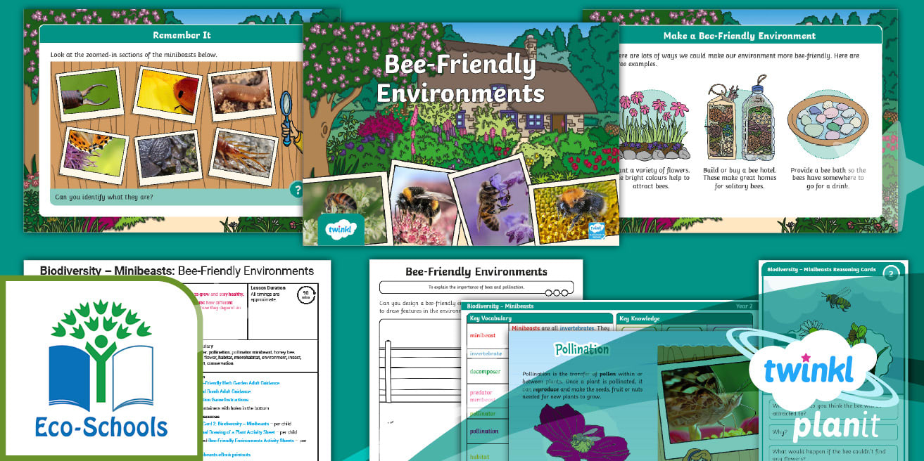 Science: Minibeasts: Bee-Friendly Environments Year 2