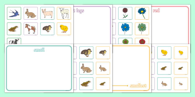 Spring Sorting Activity Pack