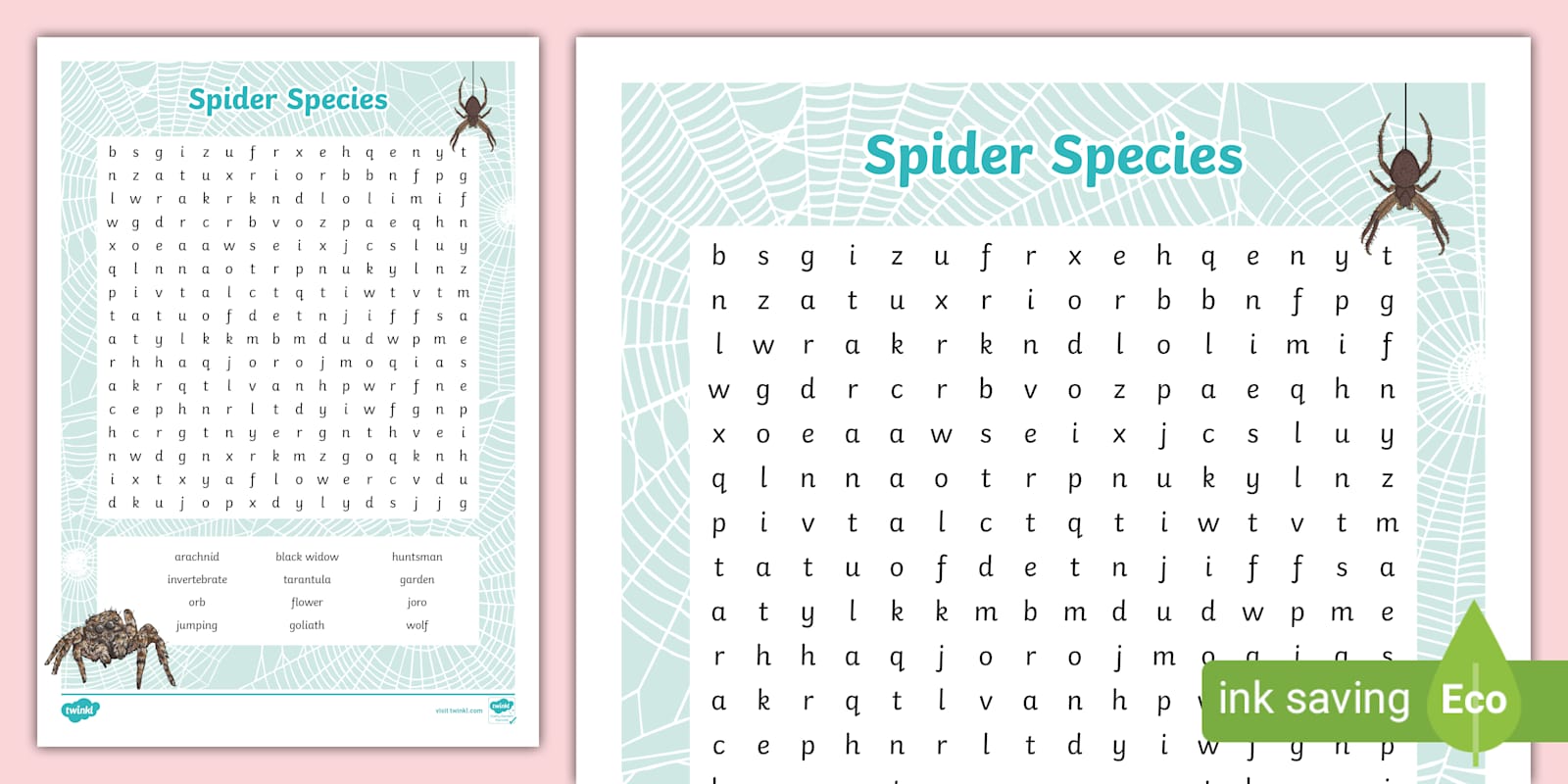 Spider Species Word Search