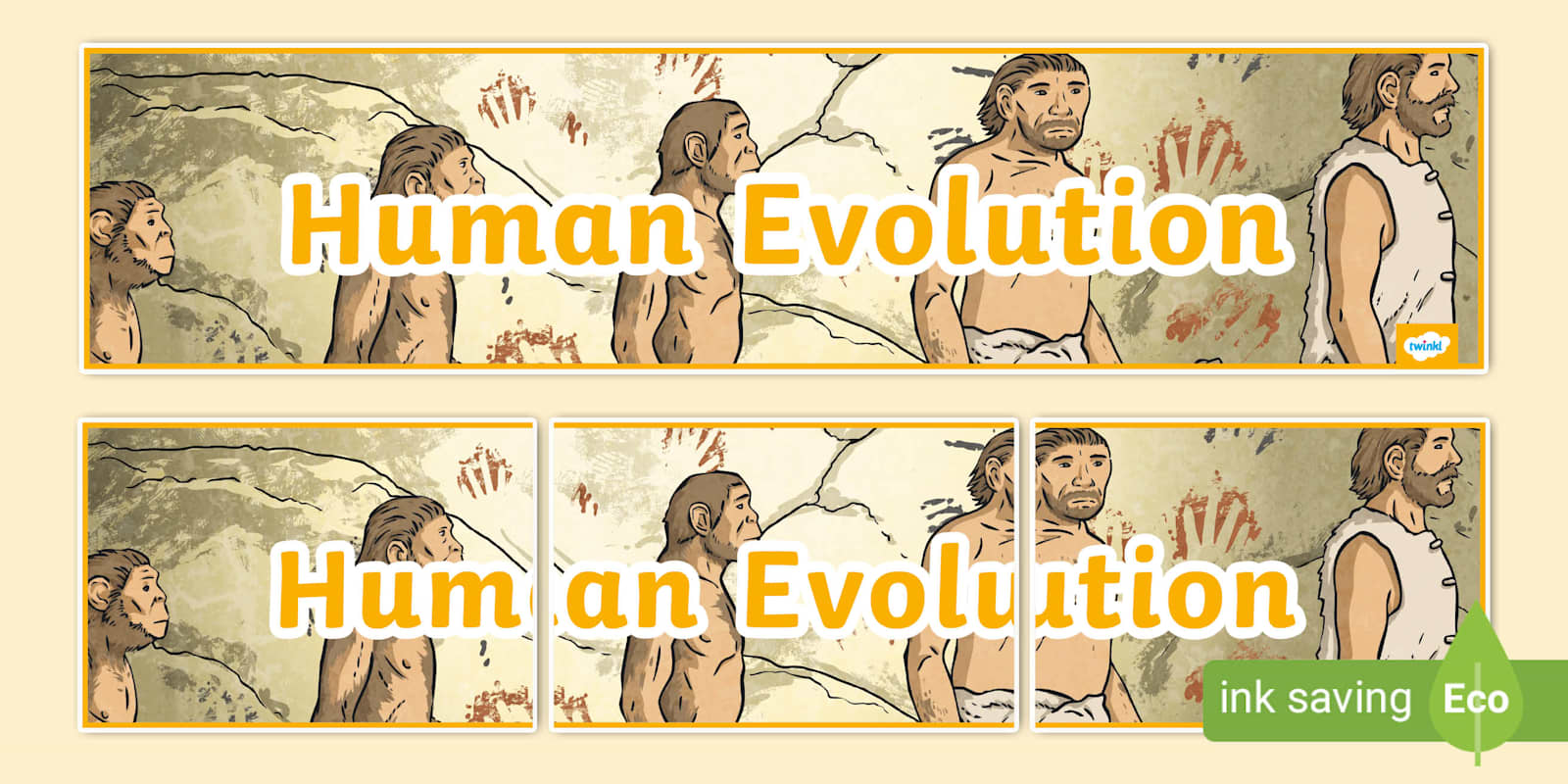 Human Evolution Display Banner - display banner, evolution, human