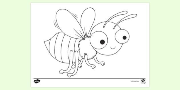 insect coloring pages easy
