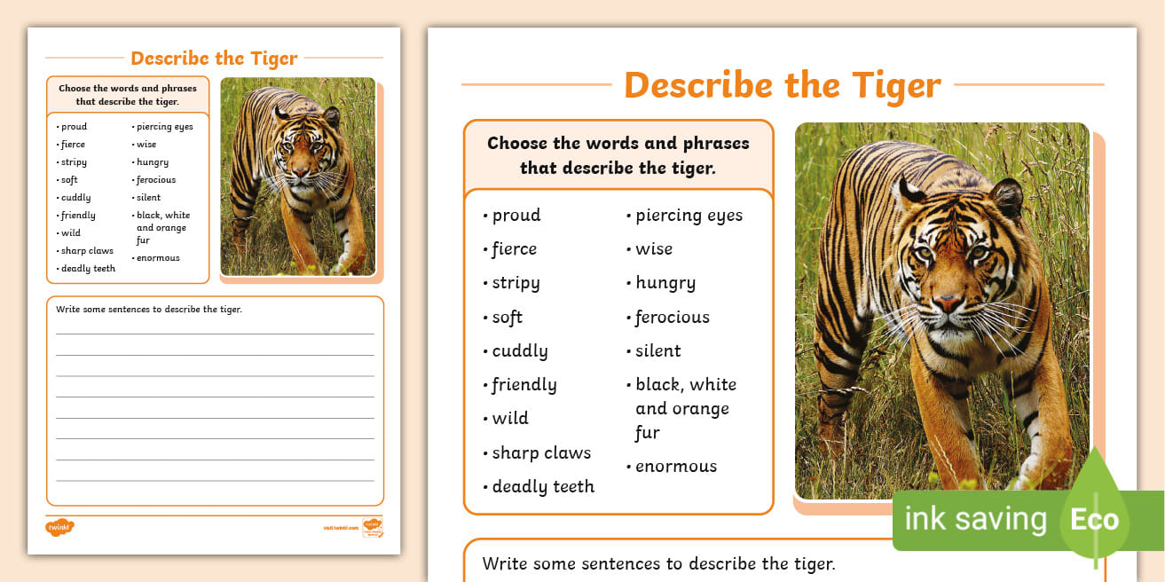 Describe the Tiger Writing Activity Sheet
