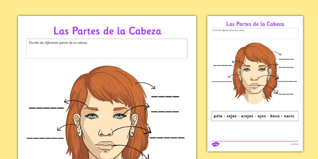 Spanish Parts of the Face Worksheet