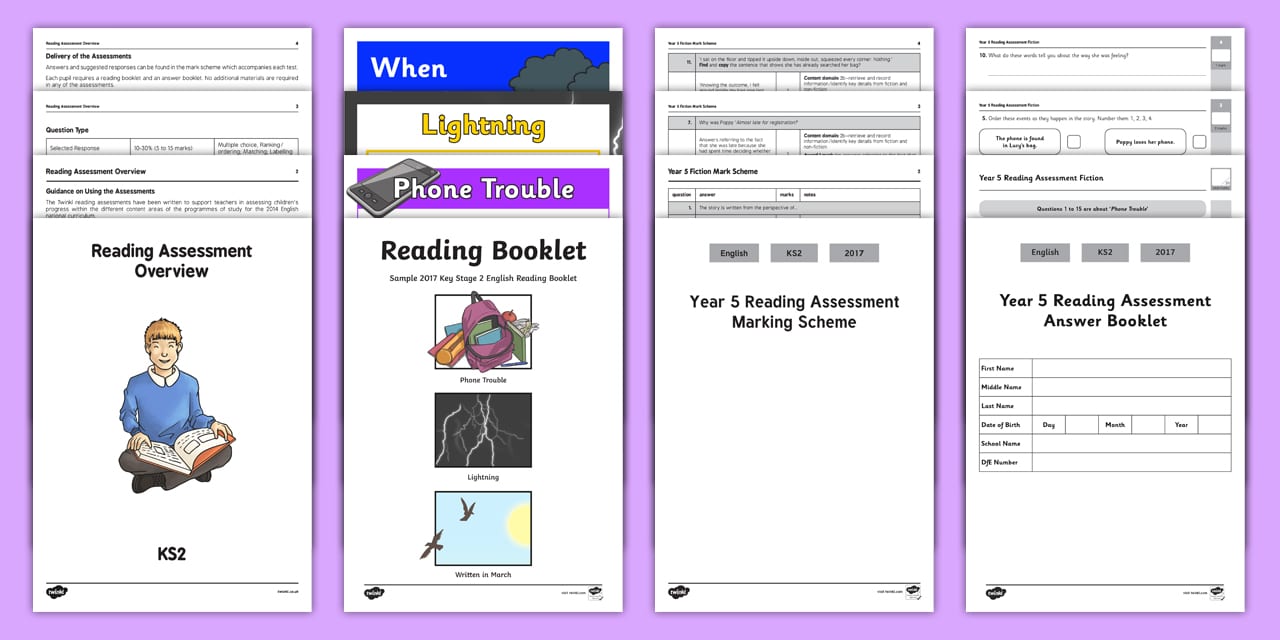 Year 5 Reading Comprehension Assessment Pack