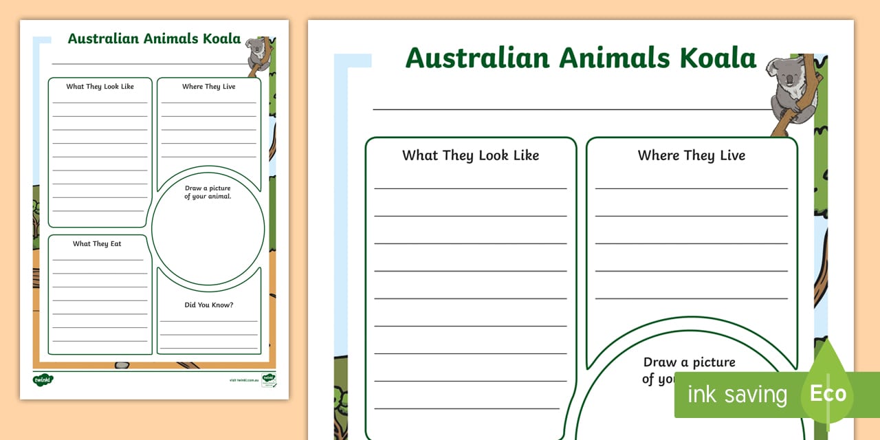 Australian Animals Information Report Writing Koala Template