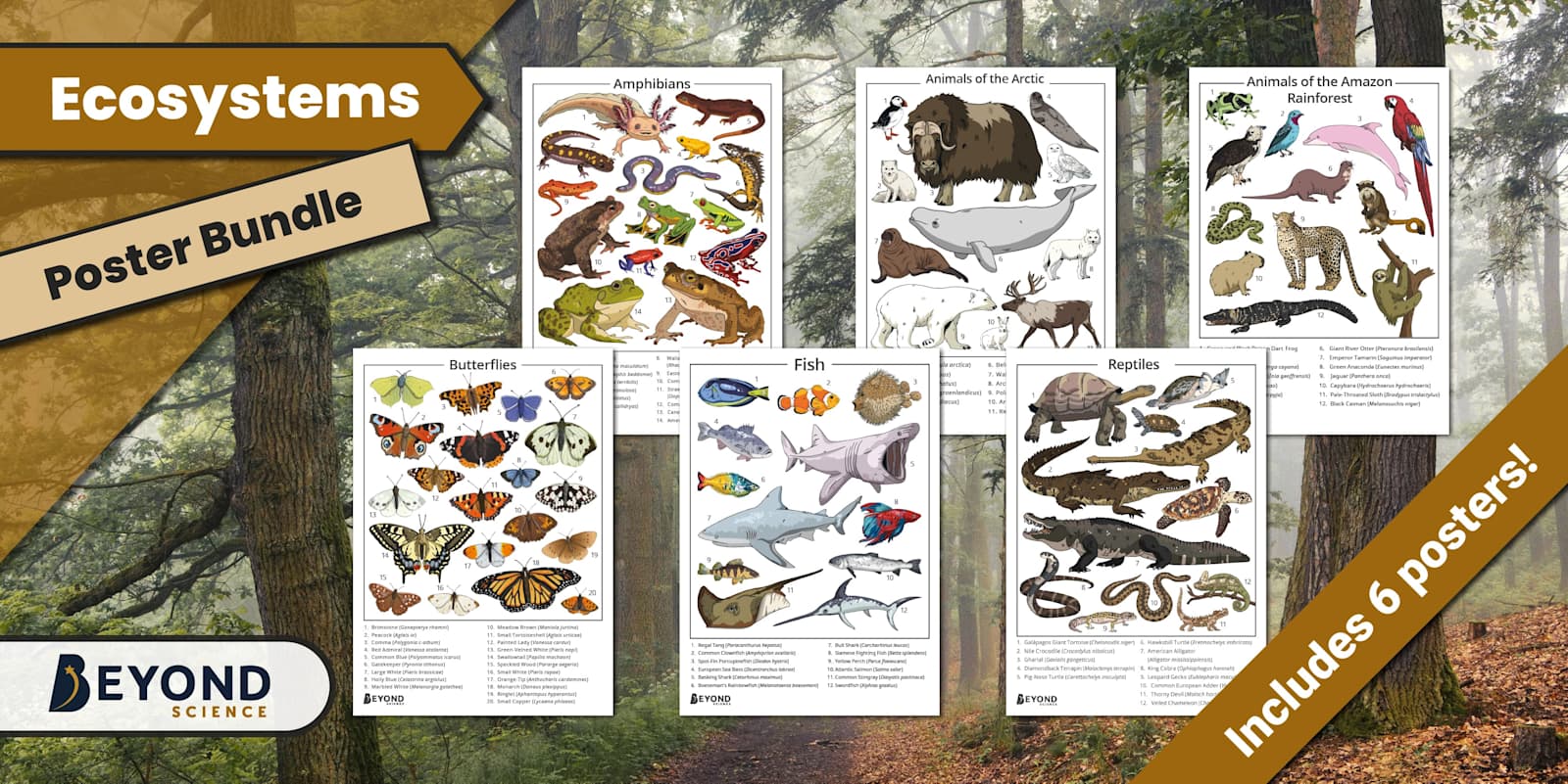 Ecosystems Poster Bundle