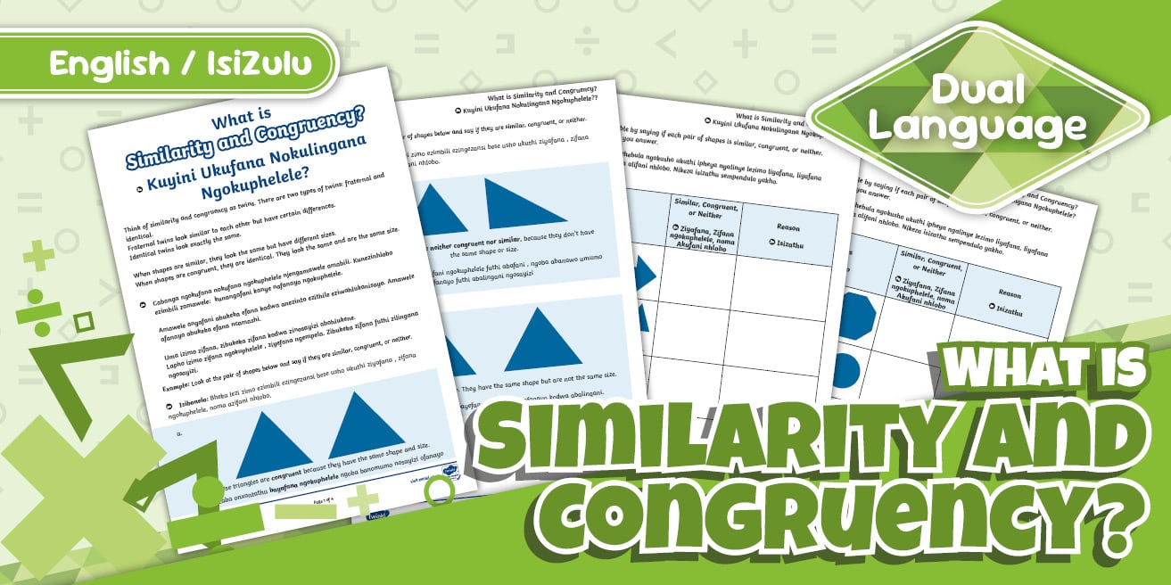 Grade 7 Maths - Term 4- What is Similarity and Congruency? Notes and ...