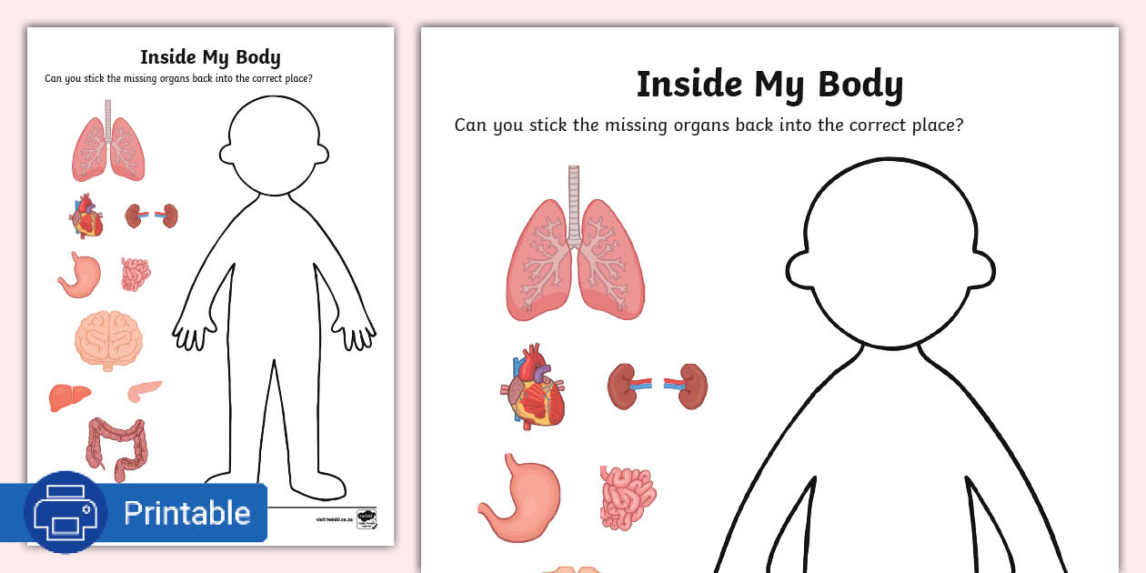 Grade R / Grade 1 -LS- My Body - Worksheet: Inside my Body (CAPS Aligned)