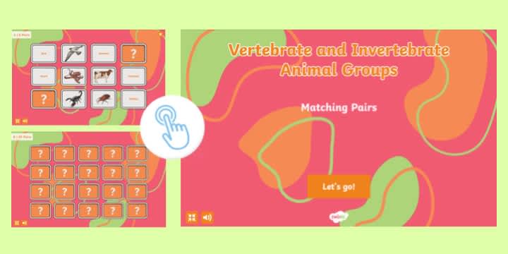 Vertebrate and Invertebrate Animal Groups Matching Pairs Game