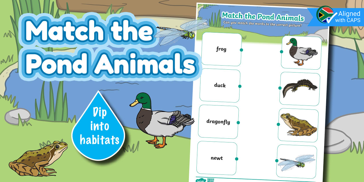 Foundation Phase Life Skills - Types of Animals That Live in Ponds ...