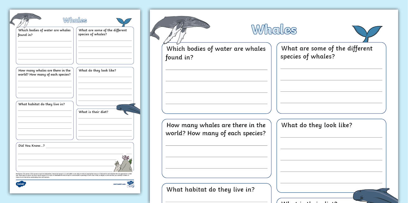 Whale Fact File Template